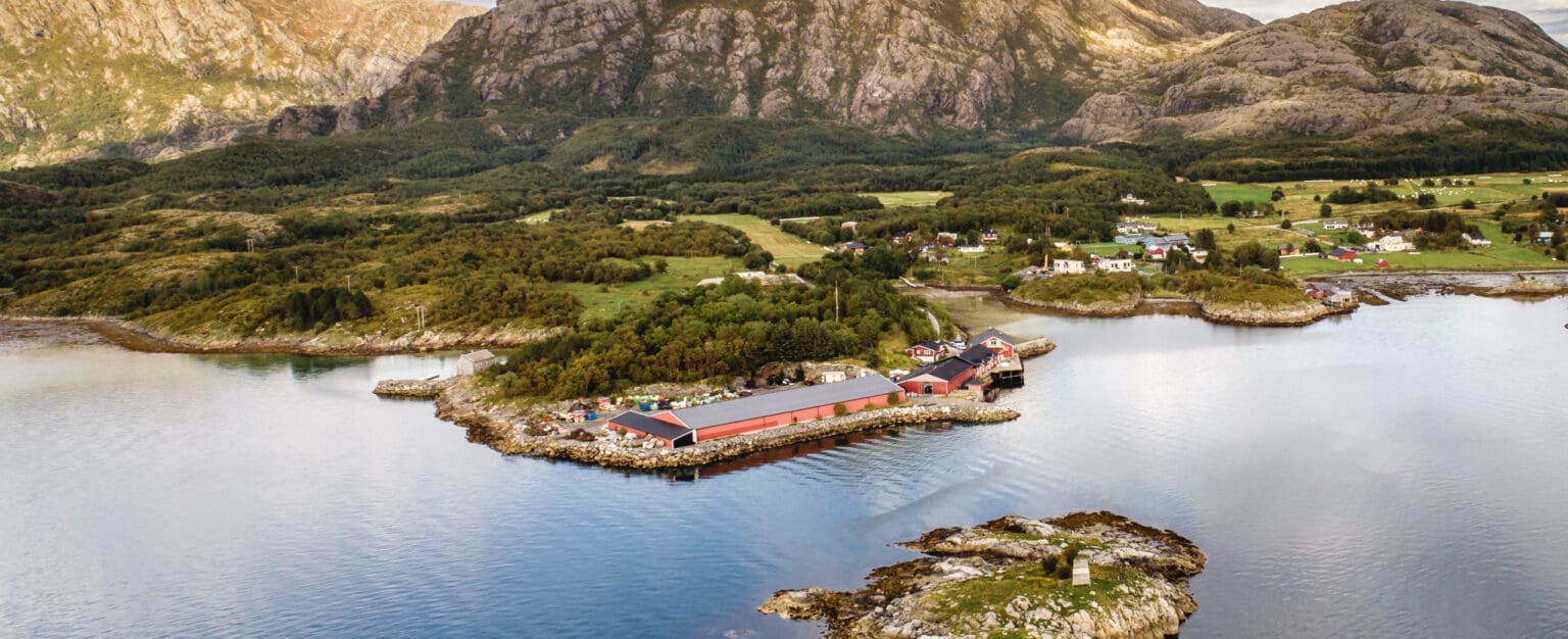 Om oss | Tomma Utvikling